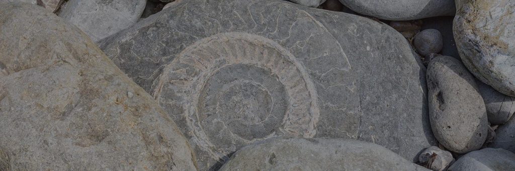 Guide To Historic Map Symbols Os Getoutside 