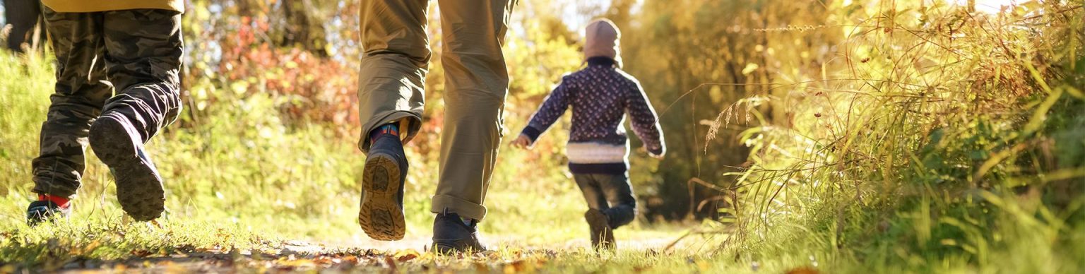 Six easy South Downs circular walks | OS GetOutside