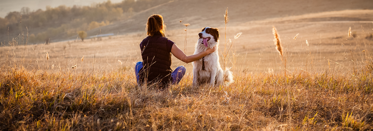 The best dog walking spots near you | OS GetOutside