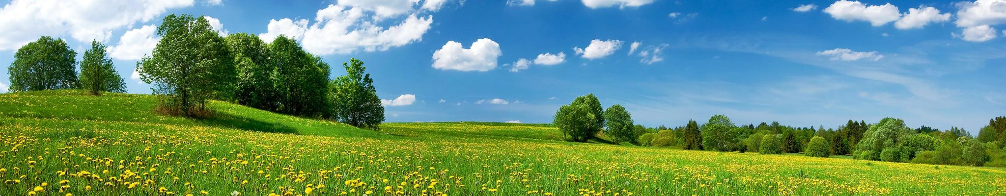 Ordnance Survey Advanced Map Reading Quiz | OS GetOutside