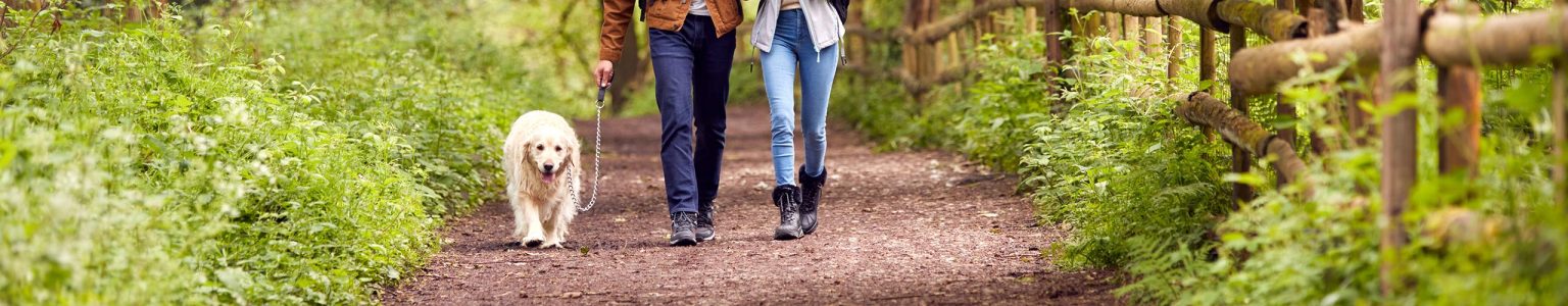 Learn all about contour lines | OS GetOutside