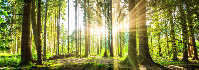 How cartographers determine map scale | OS GetOutside