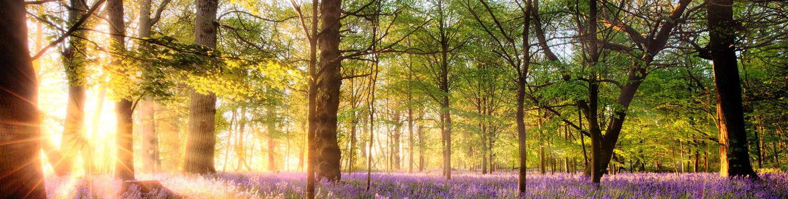 Make maps for kids fun | OS GetOutside