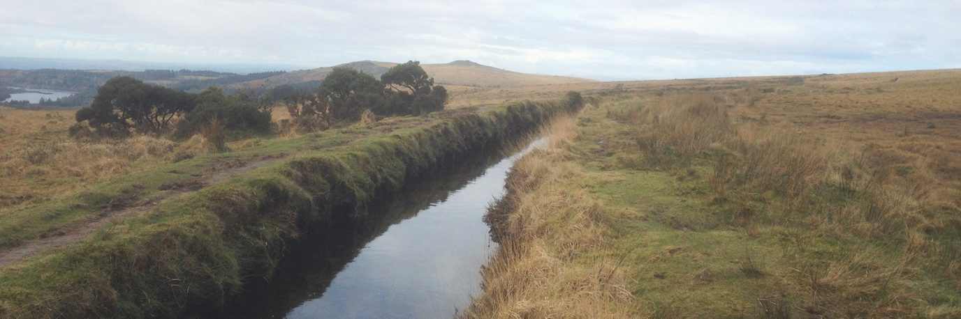 Discover the best parts of Dartmoor National Park | OS GetOutside