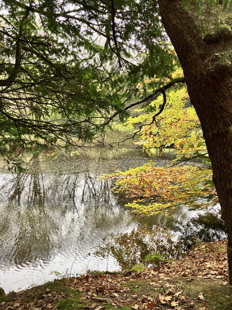 Holme Chapel Loop - A Rochdale Adventure - OS GetOutside