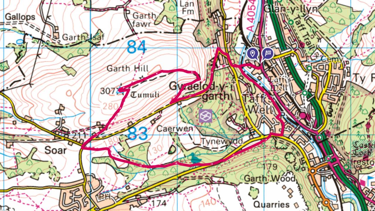 Christmas Walk Ideas & Inspiration! - OS GetOutside