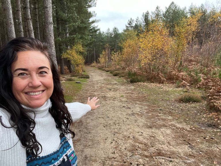 Christmas Walk Ideas & Inspiration! - OS GetOutside