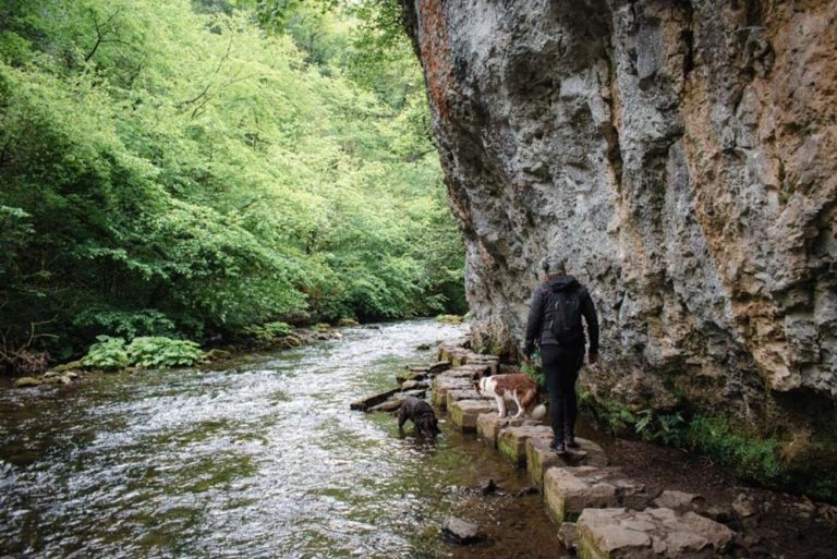 Chee Dale Stepping Stones Circular Walk - OS GetOutside