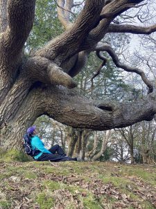 Beginner Hikes: New Forest National Park - OS GetOutside