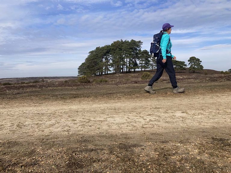 Beginner Hikes: New Forest National Park - OS GetOutside