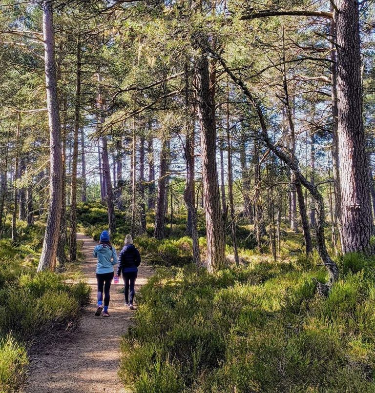 Route Review: Nethy Bridge Walk - OS GetOutside