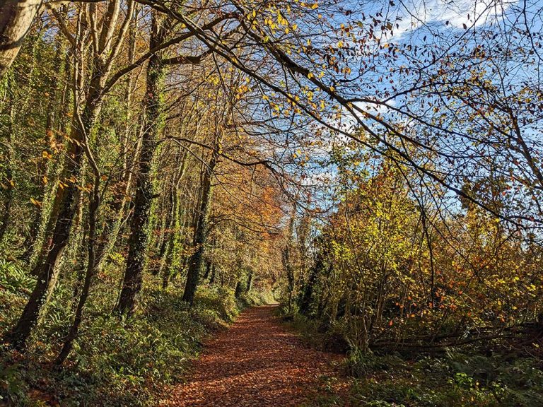 Gower and Swansea Circular Coast Path Walks - OS GetOutside