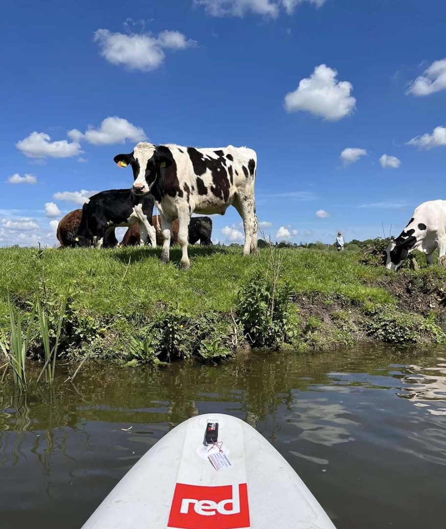 Paddleboarding on the River Stour - Cattawade to Dedham - OS GetOutside